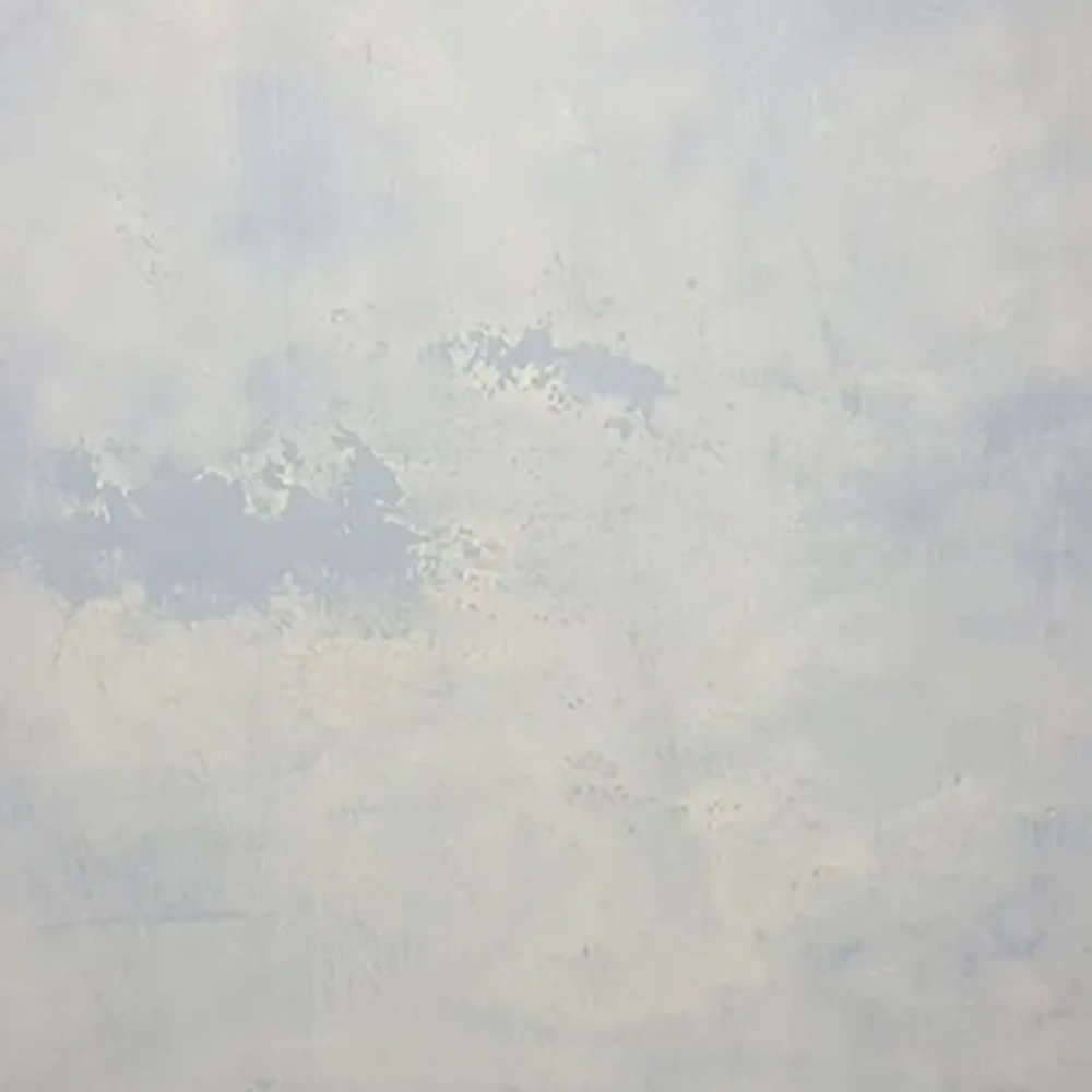Solutions for white patches on walls | Nippon Paint